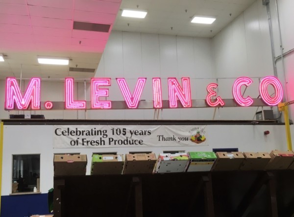 M. LEVIN & CO Sign - Sky Neon Signs